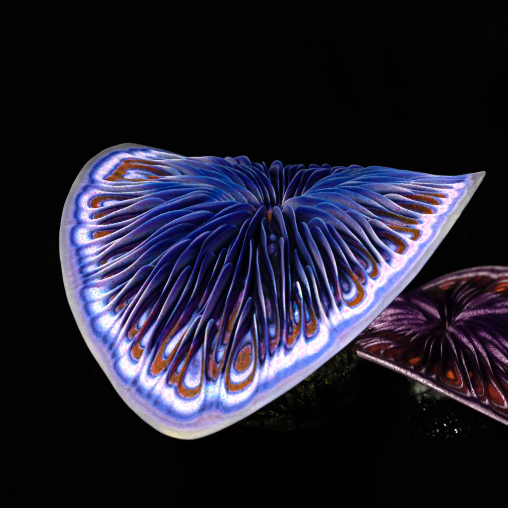 Black Void: Pioneering a New Era of Digital Art and Environmental ...