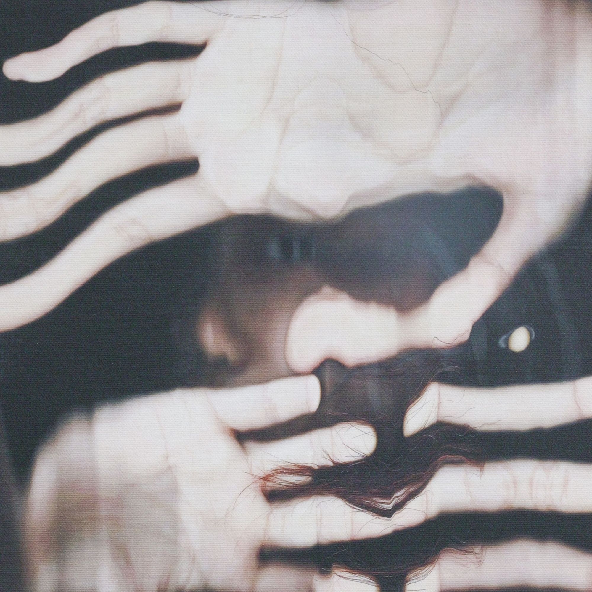 Art Shopping Paris: Between Skin and Structure - Reframing the ...